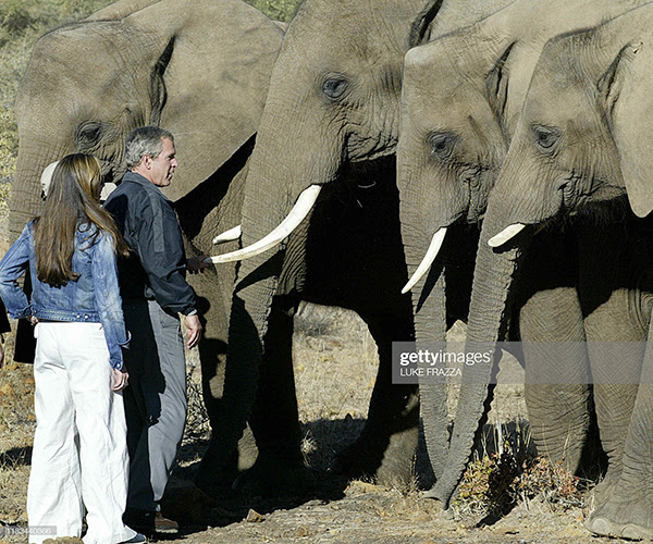 Milwaukee Zoo Plan to Separate Elephant from Companion of Around 25 ...