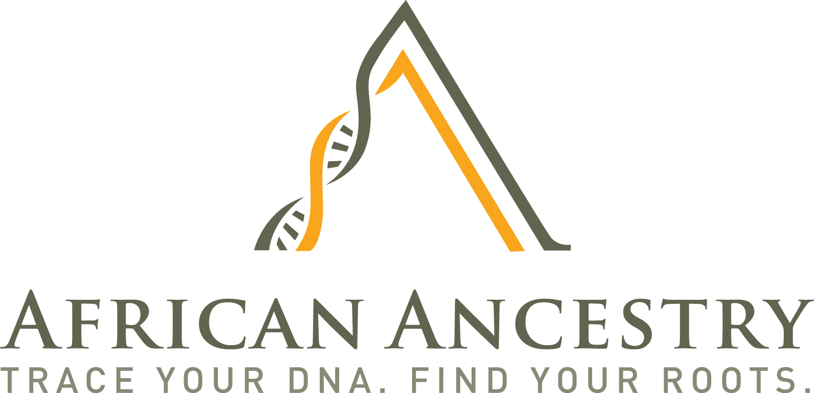African Ancestry Co-Founder Dr. Gina Page Is Helping Black People ...